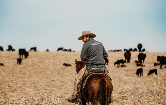 Restorations – The Cow Lot