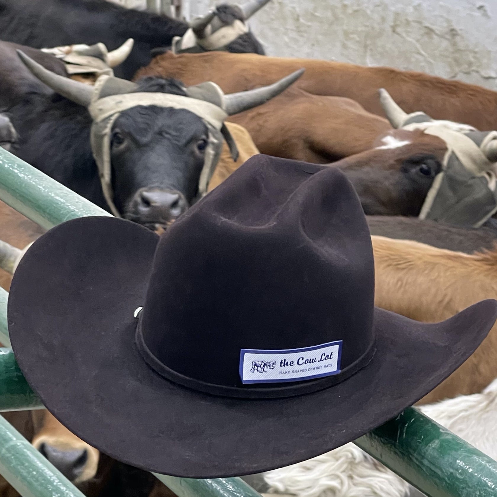 Rodeo King 10X 4 1/2" Brim | BLACK CHERRY – The Cow Lot